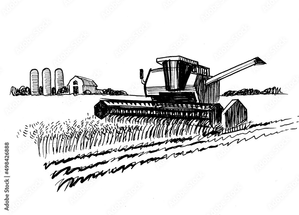 Combine harvester in the wheat field. Ink black and white drawing Stock ...