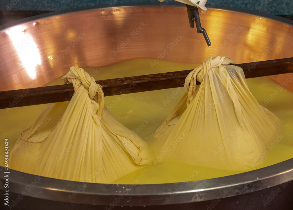 Process of making wheels of parmigiano-reggiano parmesan cheese on ...