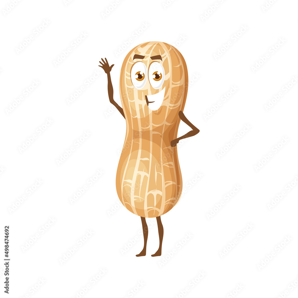 Funny peanut or groundnut, nut character for yummy food, vector cartoon ...