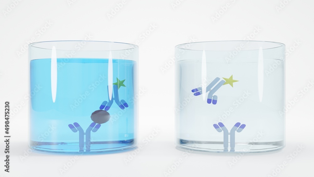 3D illustration of an immunoassay method. Schematic of sandwich enzyme ... 3D illustration of an immunoassay method. Schematic of sandwich enzyme ...