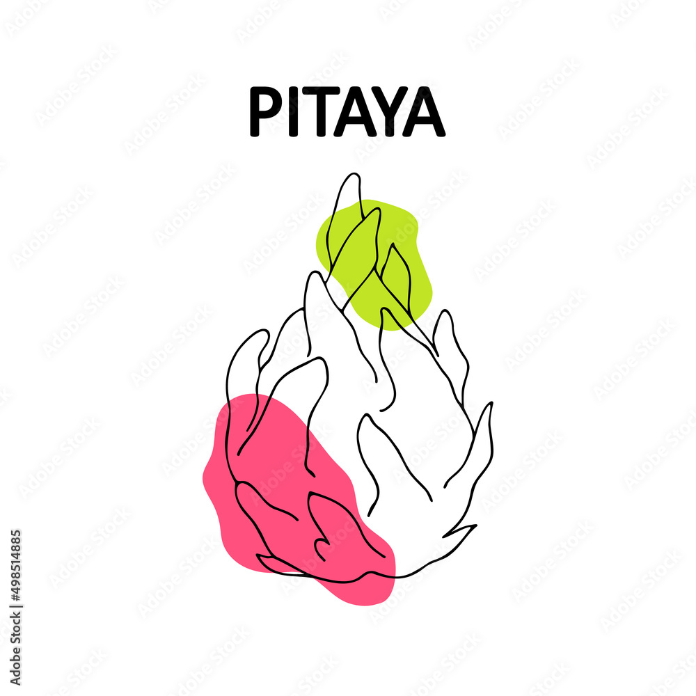 Pitaya fruit. Dragon fruit. Linear drawing with colored spots and an ...