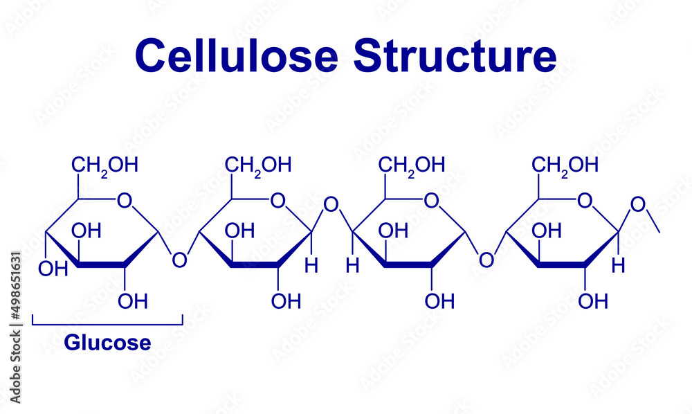 Cellulose Molecule Chemical Structure. Vector Illustration. เวกเตอร์ ... Cellulose Molecule Chemical Structure. Vector Illustration. เวกเตอร์ ...