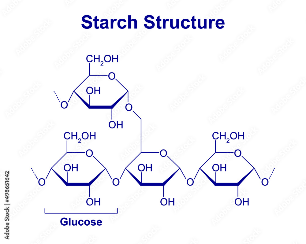 Starch Molecule Chemical Structure. Vector Illustration. Stock Vector ... Starch Molecule Chemical Structure. Vector Illustration. Stock Vector ...