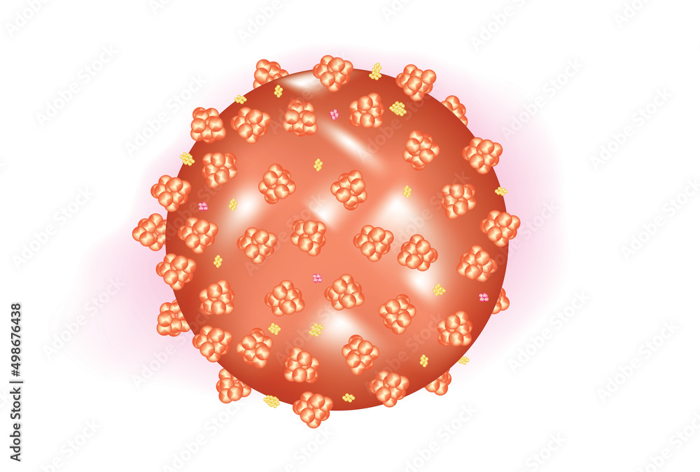 spherical virus diagram Stock Vector | Adobe Stock
