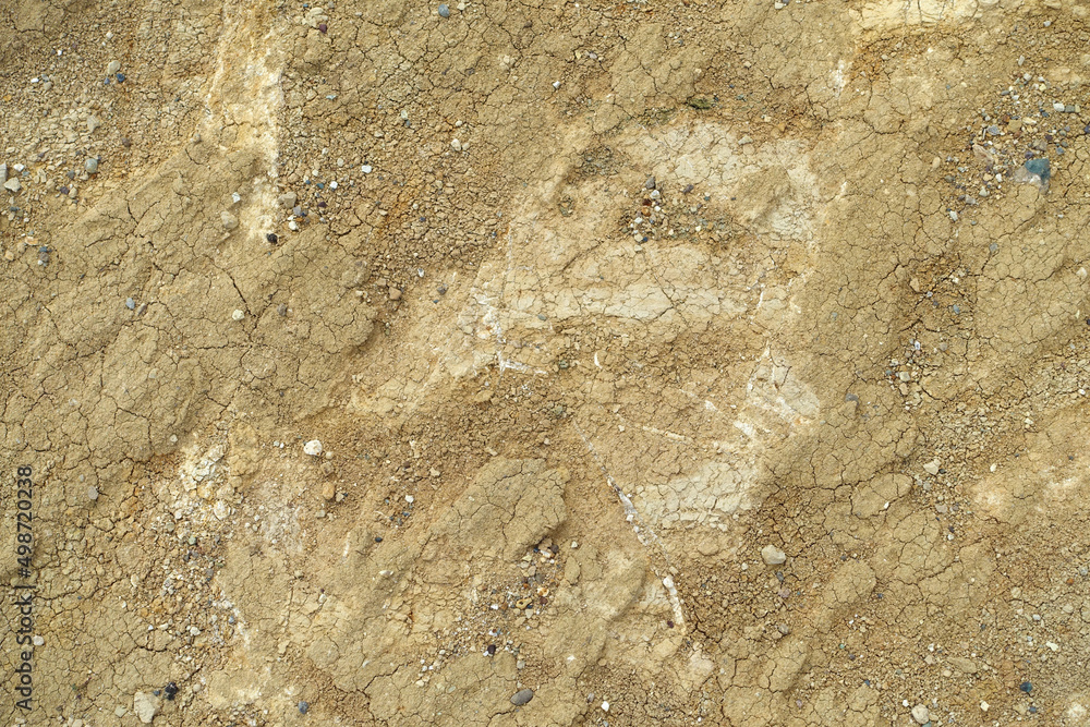 soil types-yellow soil type, sandy and hard rock yellow soil, soil ...