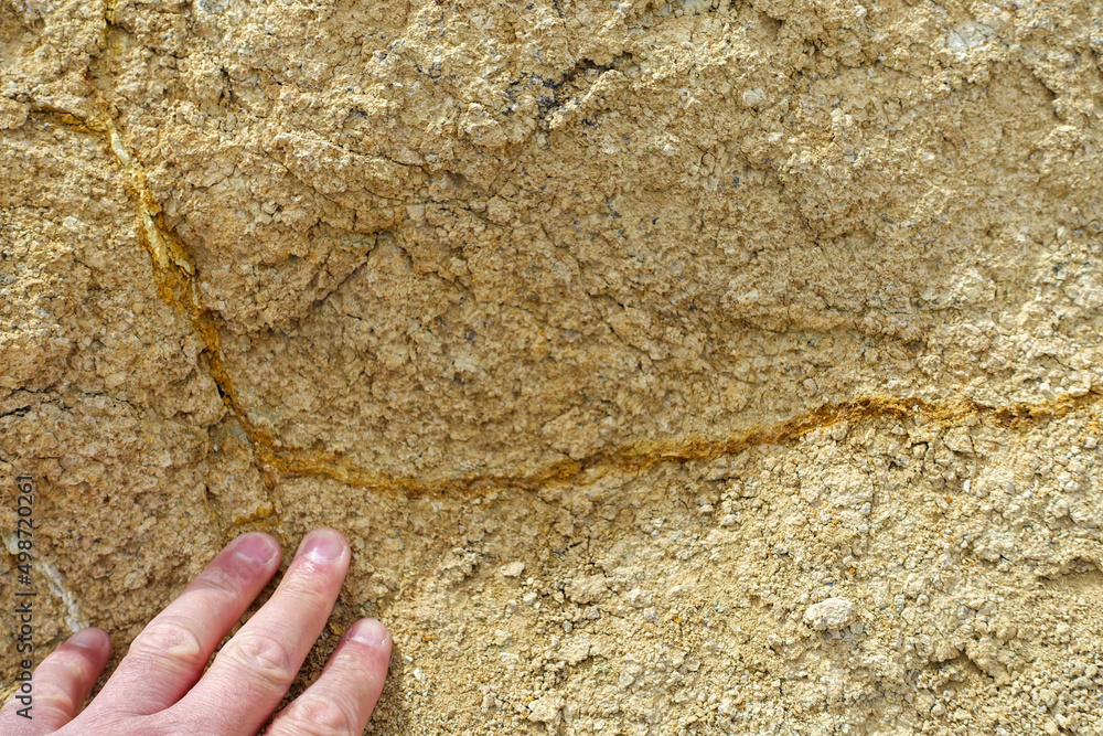 soil types-yellow soil type, sandy and hard rock yellow soil, soil ...