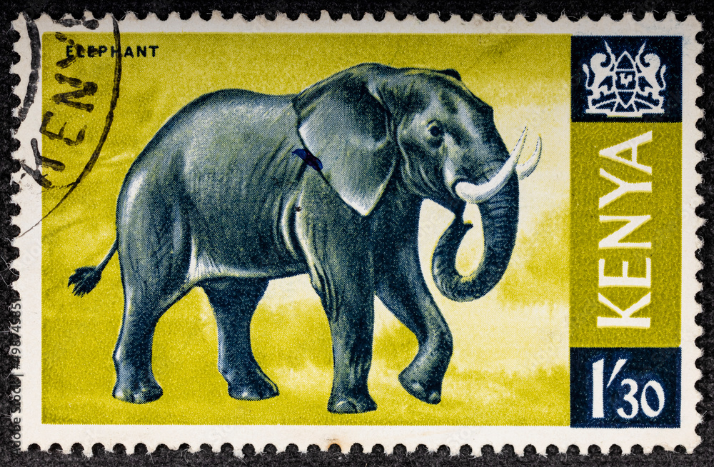 Kenya - CIRCA 1966: Elephant on kenyan postage stamp. Circa 1966. Stock ...