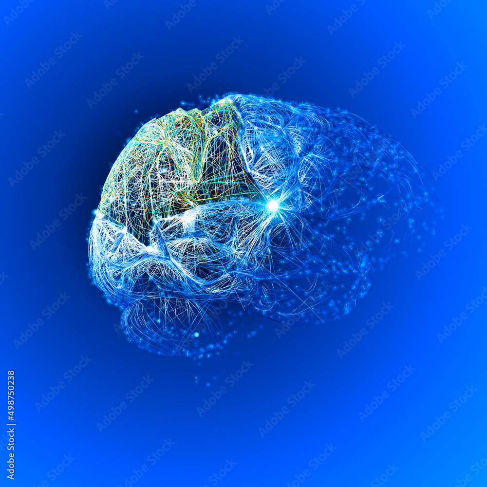 Brain, the parietal lobe is vital for sensory perception and ...