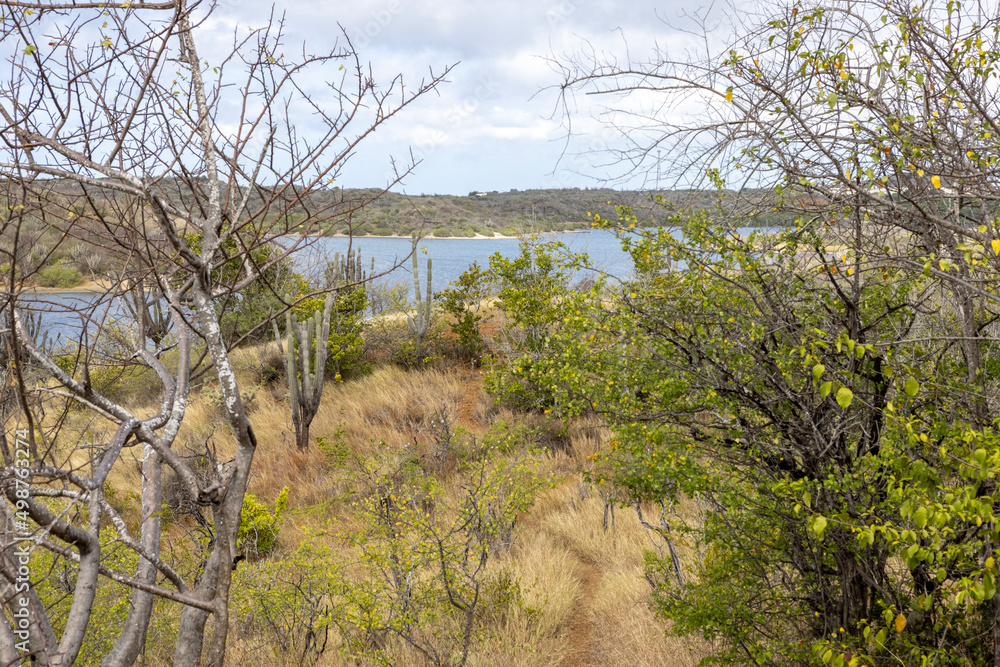 Walking a small, dusty path with view to the Jan Thiel lagoon on the ...