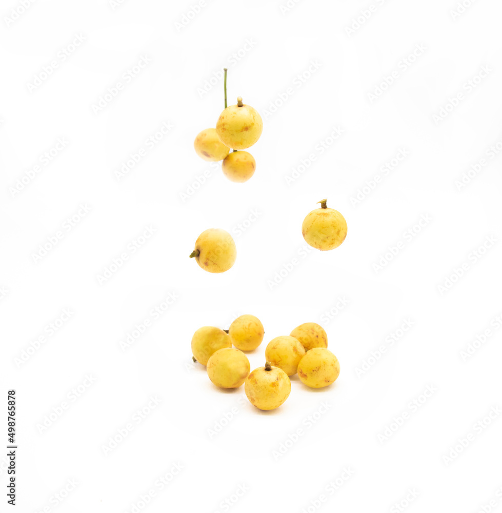 Baccaurea motleyana also known as lotkon falling isolate on white ...