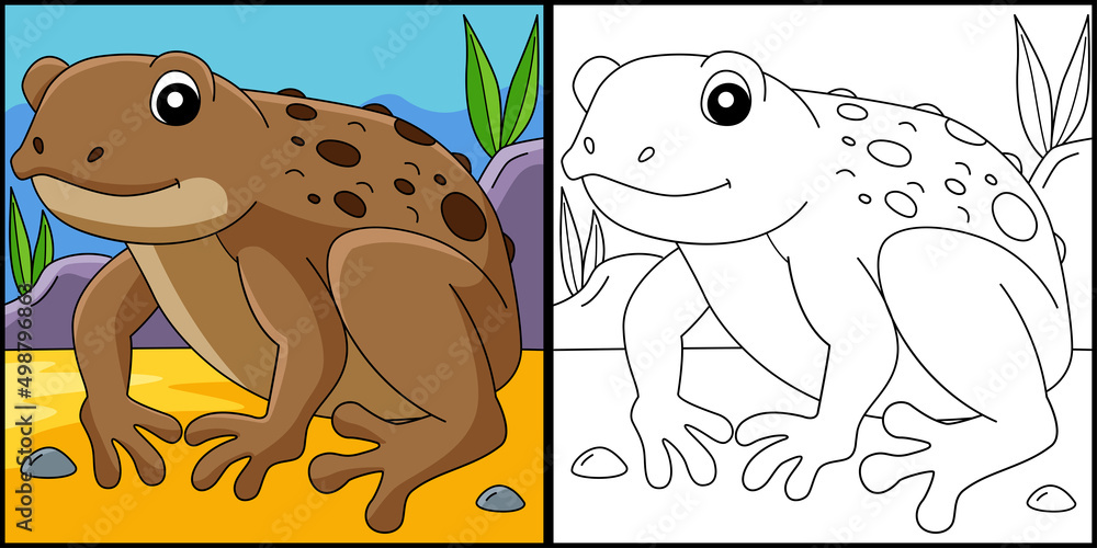 Cane Toad Frog Animal Coloring Page Illustration Stock Vector | Adobe Stock