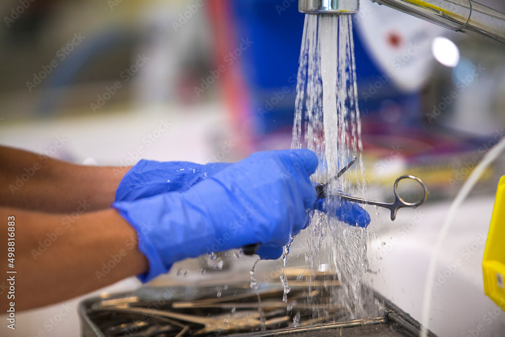 Photo & Art Print Before sterilization of surgical equipment., RFBSIP