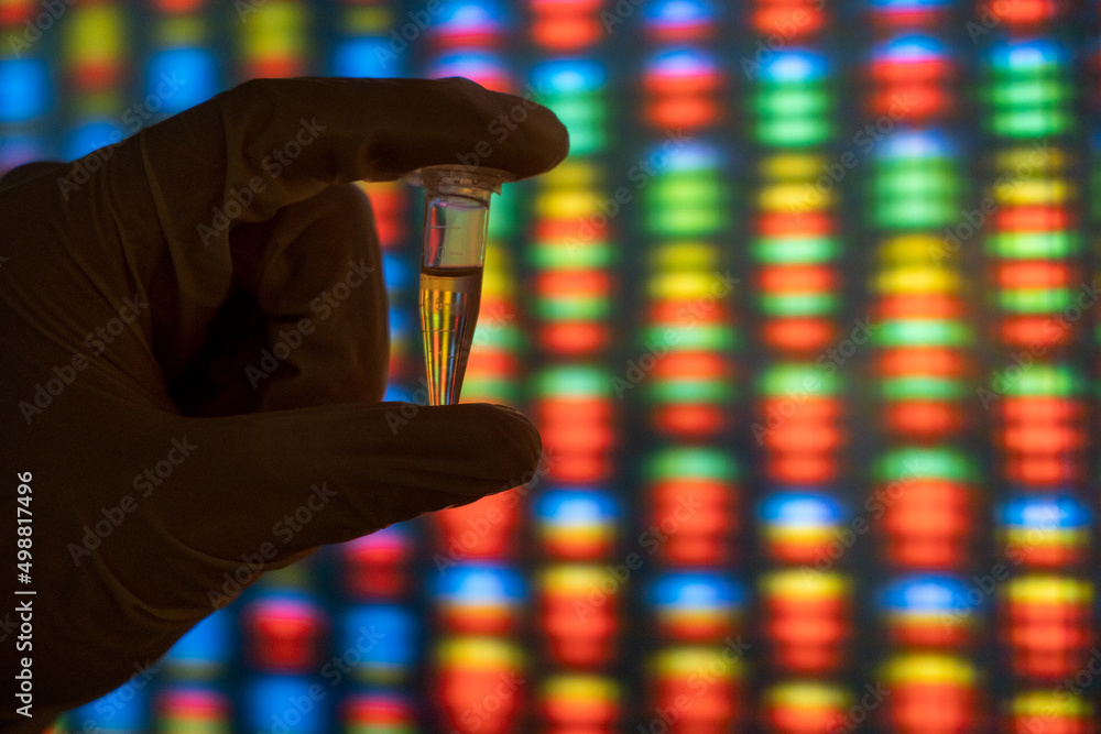 Hand holding a tube of DNA samples in front of a picture of a genome ...
