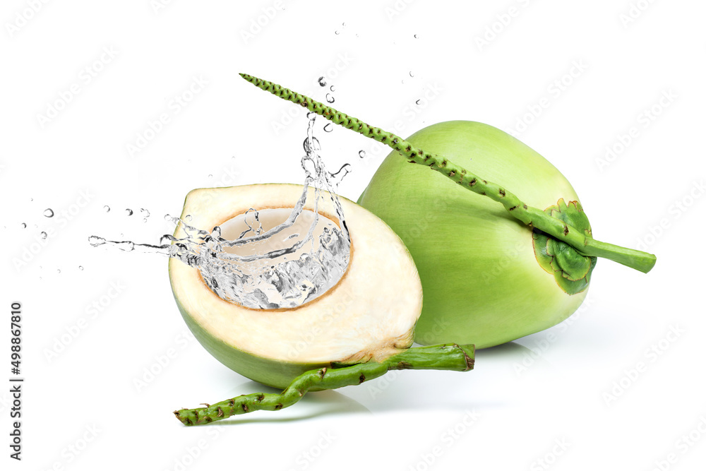 Coconut water splash isolated on white background. Stock Photo | Adobe ...