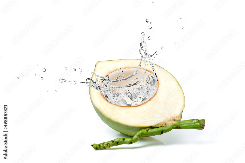Coconut water splash isolated on white background. Stock Photo | Adobe ...