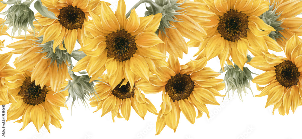 Sunflowers, Floral border with sunflowers ang foliage, can be used as ...