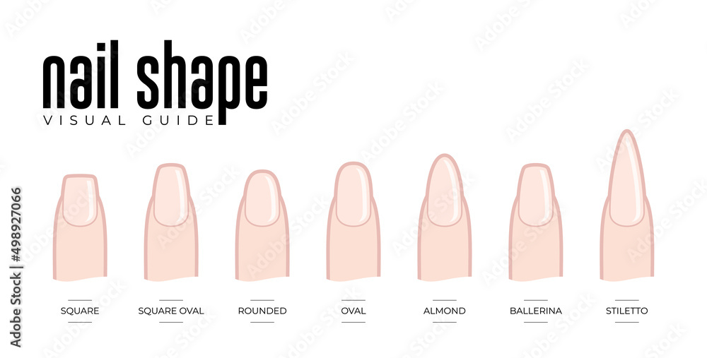 Vector set nail shape visual guide. Isolatedn on white background ...