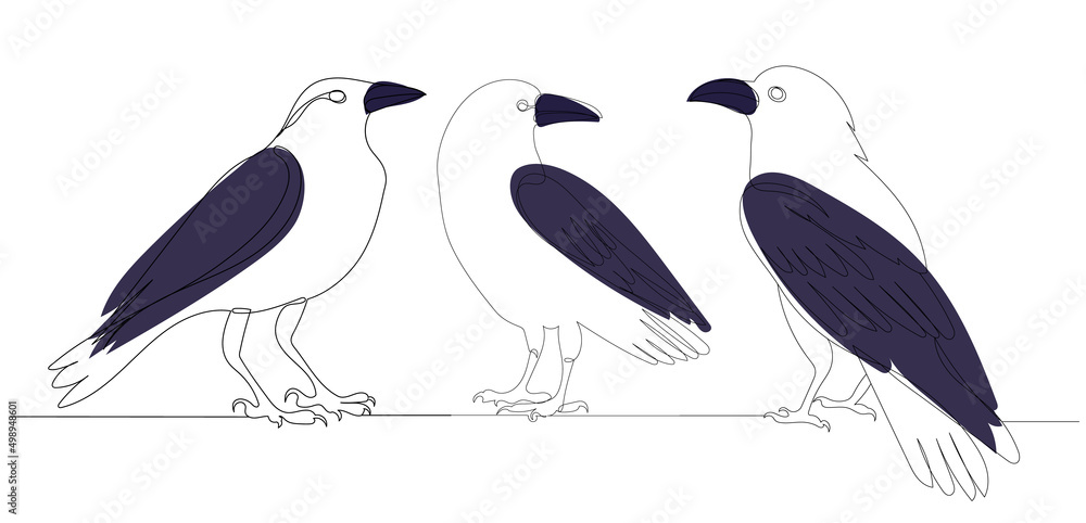 crows drawing by one continuous line, sketch Stock Vector | Adobe Stock
