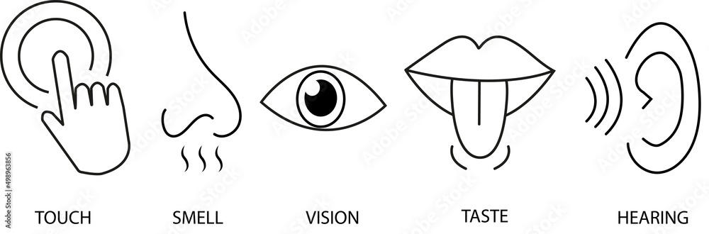 There are five sense organs, these are sight, hearing, smell, touch ...