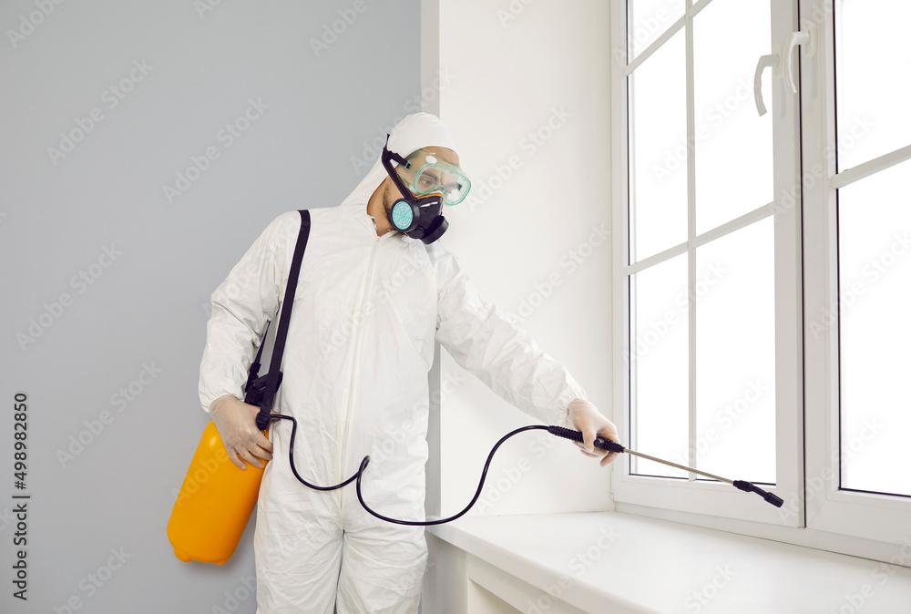 Spraying Pesticides In House