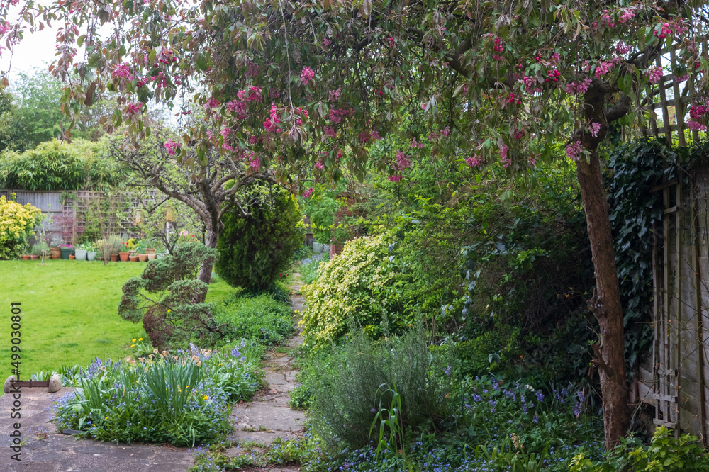 Slightly neglected, overgrown, secluded, messy suburban garden with ...