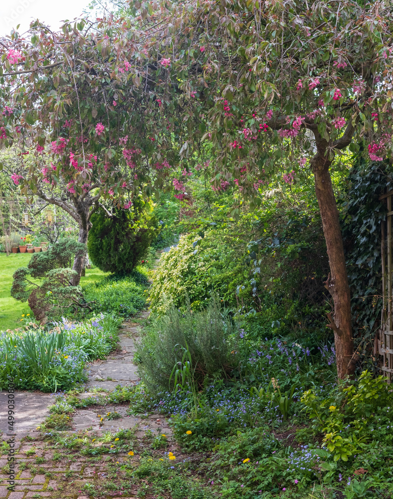 Slightly neglected, overgrown, secluded, messy suburban garden with ...