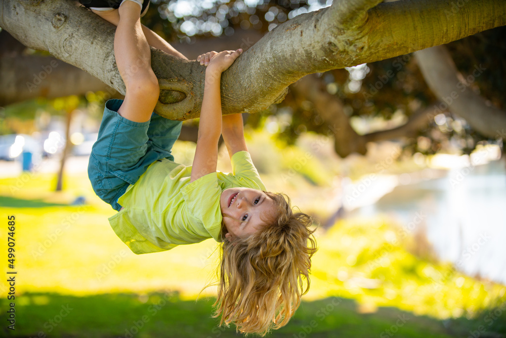 Child on a tree branch. Child climbing in adventure activity park ...