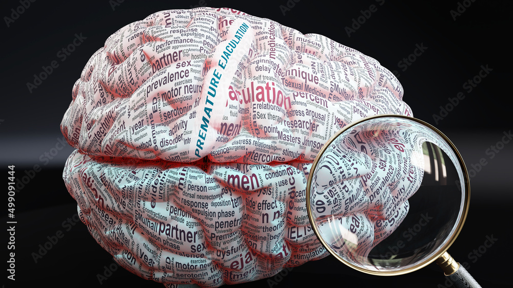 Premature ejaculation in human brain, hundreds of terms related to ...