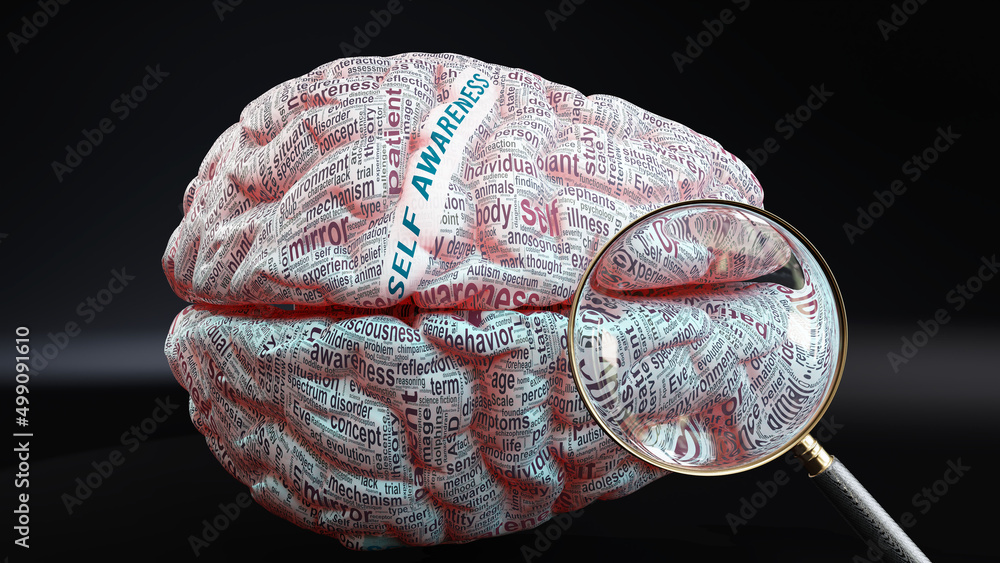 Self awareness in human brain, a concept showing hundreds of crucial ...