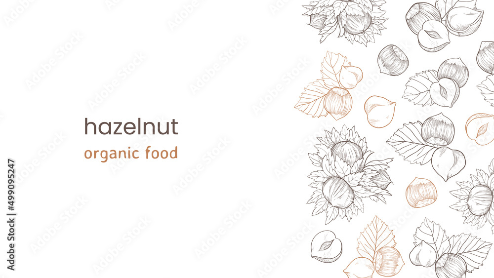 Hazelnut web banner with nuts and leaves, fruits and kernels. On the ...