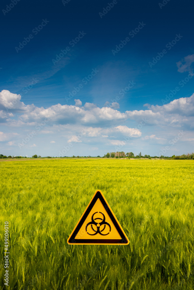 Peaceful landscape with blue sky and yellow wheat field marked with a ...