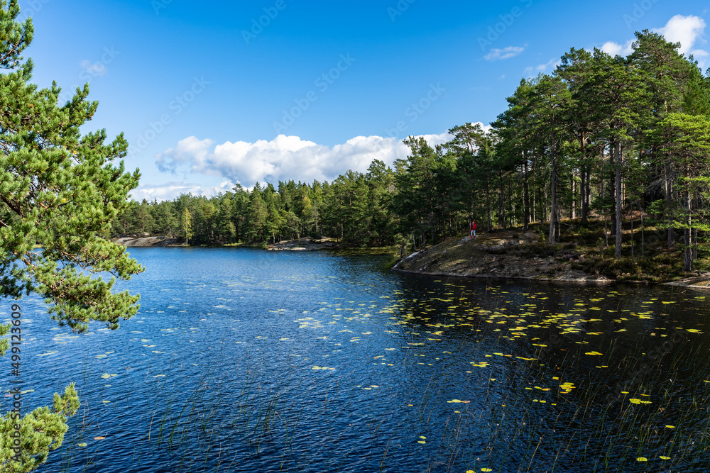 Amazing view of forest shores blue water lake. Scandinavian landscape ...