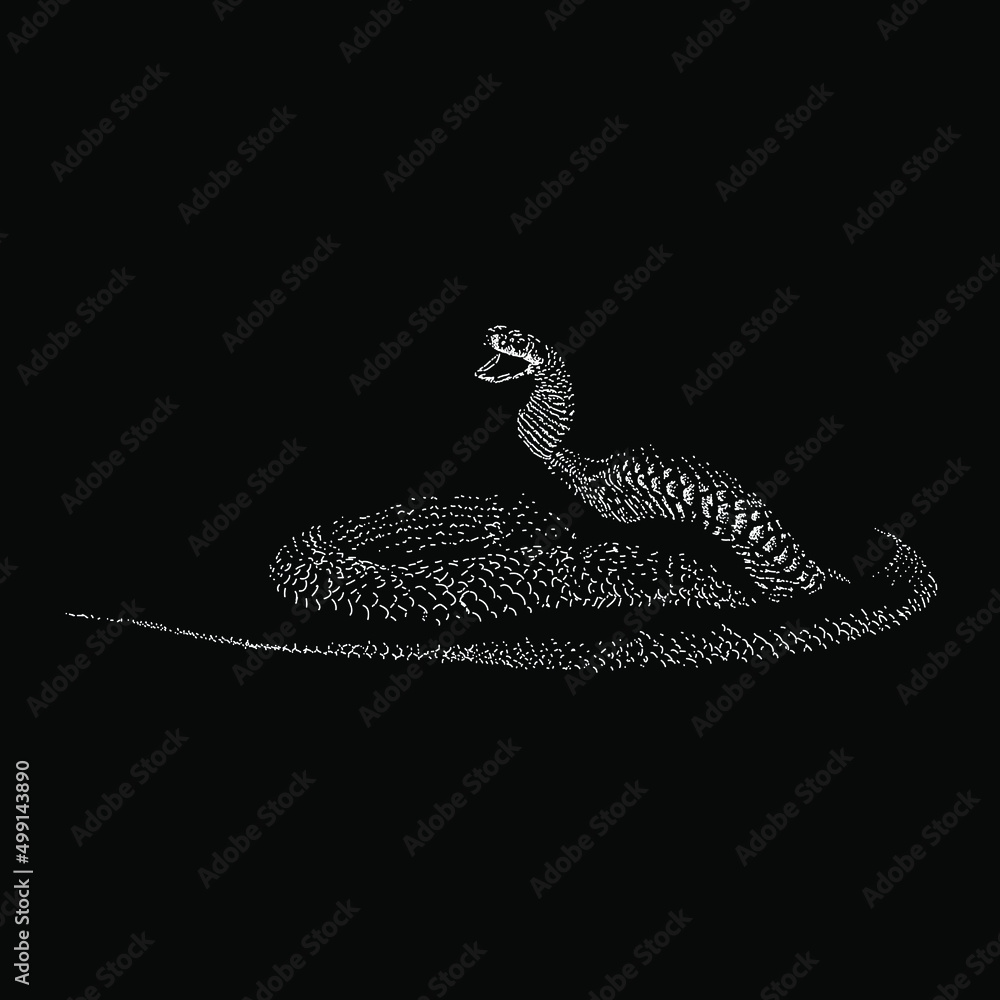 Eastern Brown Snake hand drawing vector illustration isolated on black ...