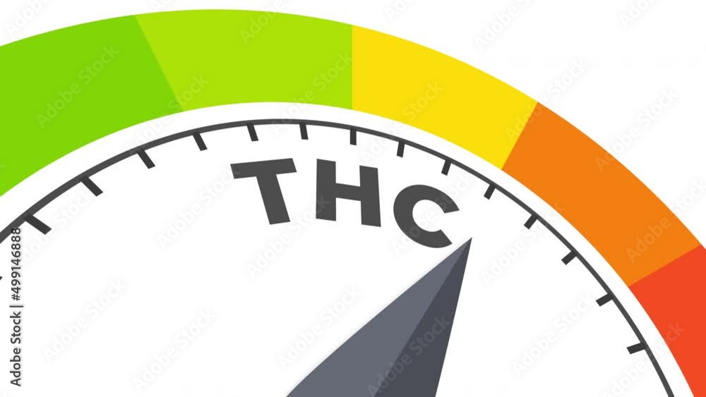 thc level measuring device animation.zoom effect.Infographic gauge ...