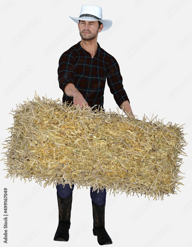 Denny is a hard-working rancher cowboy construction man - 3D ...