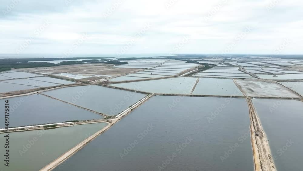 Pools for raising shrimp, shrimp industry in Peru. Aerial view of a ...