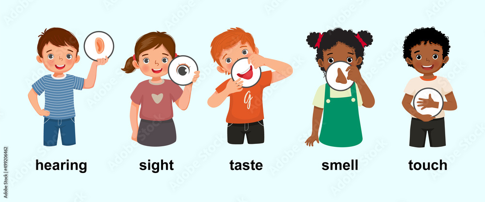 cute little children boys and girls holding showing five senses posters ...