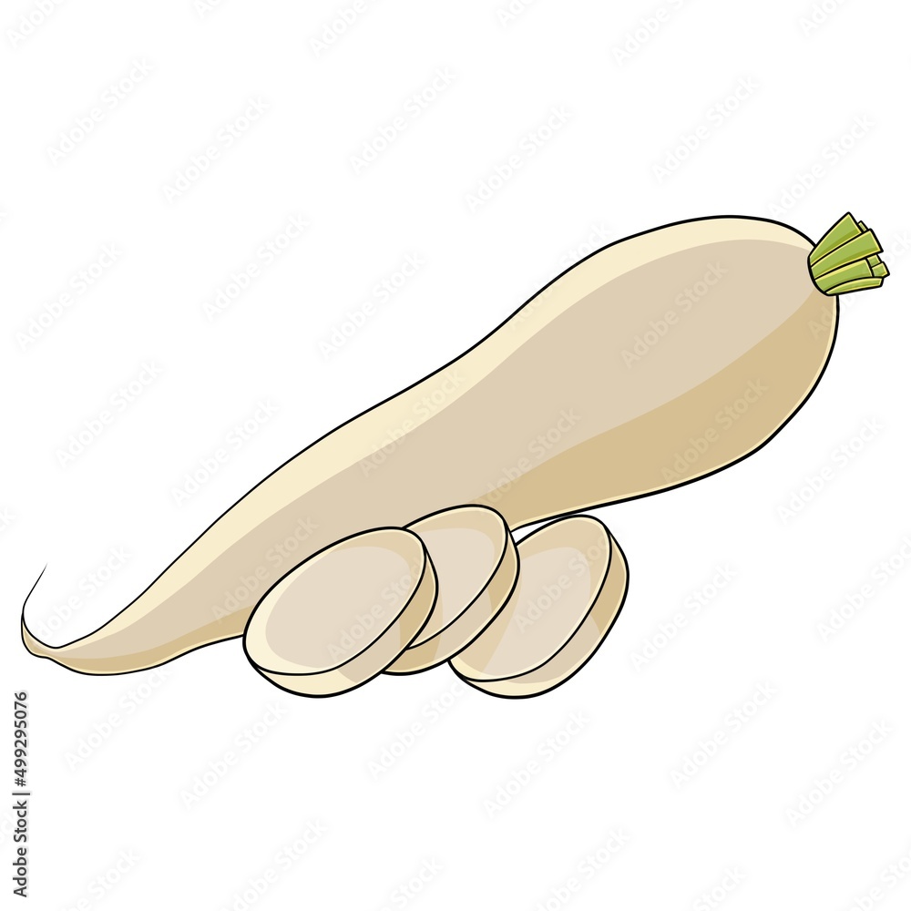 Cartoon illustration of Japanese daikon on white background Stock ...