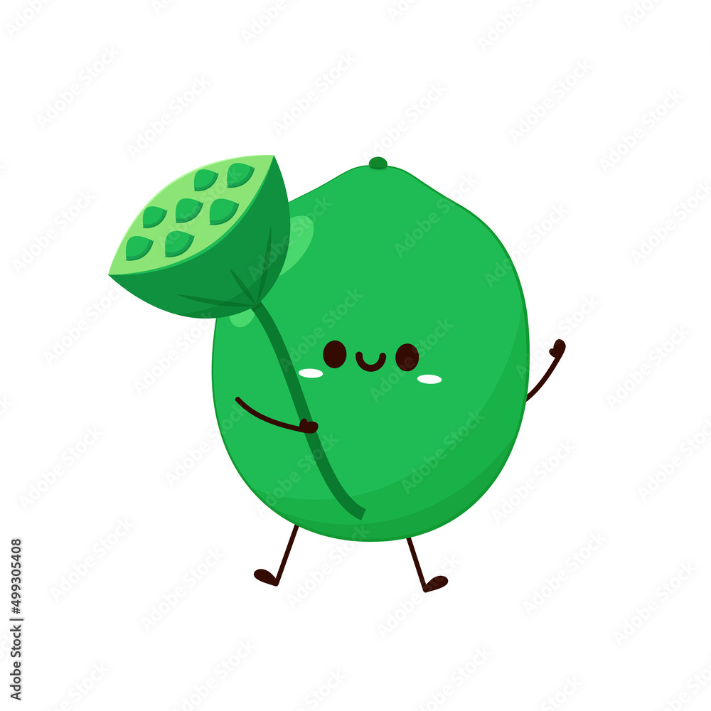 Lotus seeds on white background. Seed Pod of Sacred Lotus Flower. Lotus ...