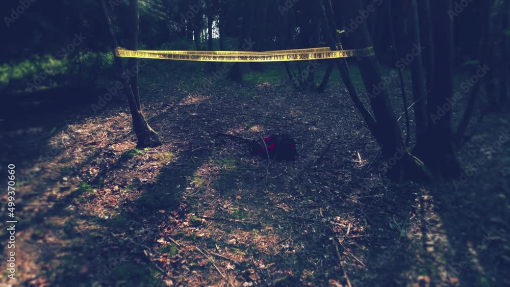 Crime scene in the woods filmed by a drone. Missing person's bag. Dead ...
