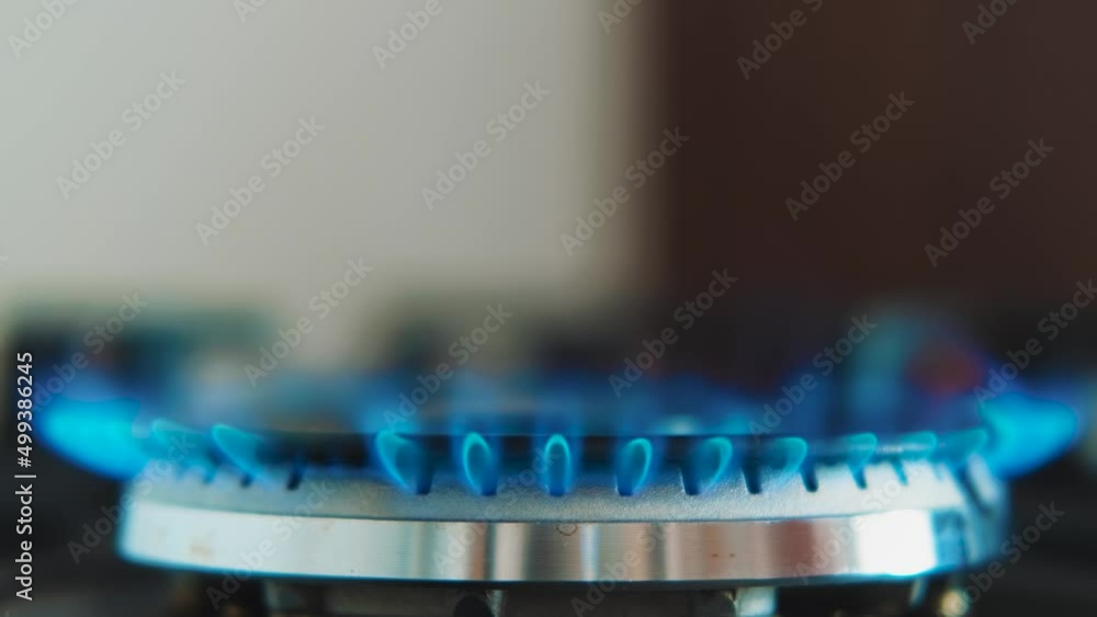 Kitchen burner is ignited in a bright blue flame, fire for cooking ...
