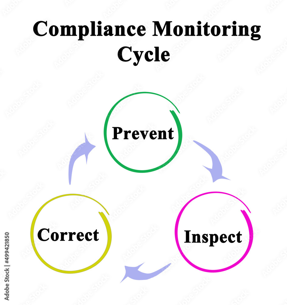 Components of Compliance Monitoring Cycle Stock Illustration | Adobe Stock