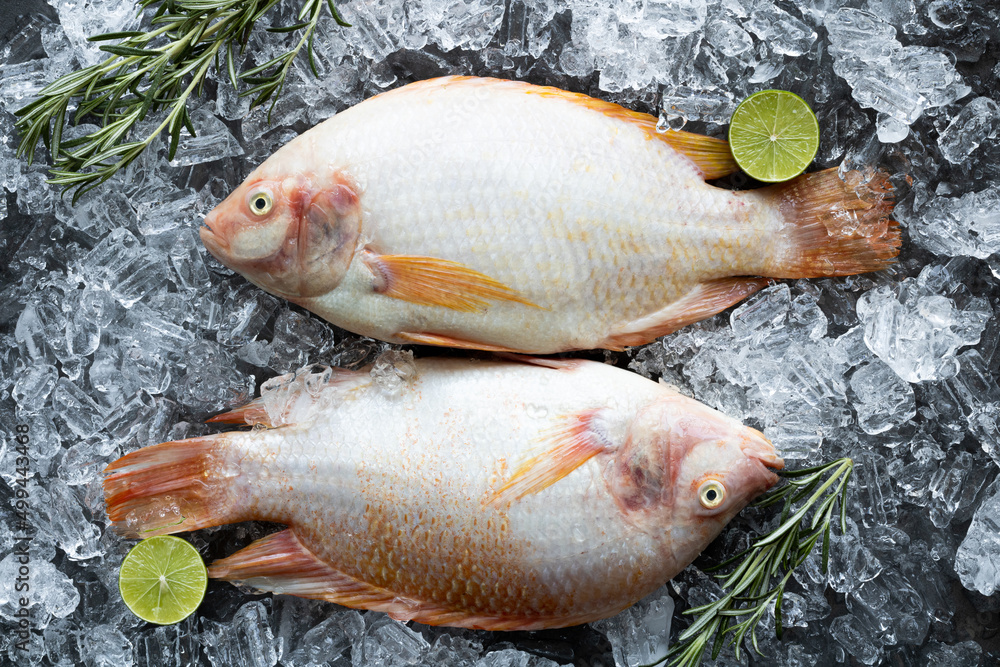 Whole fresh fish red tilapia on ice with lime and rosemary, top view ...