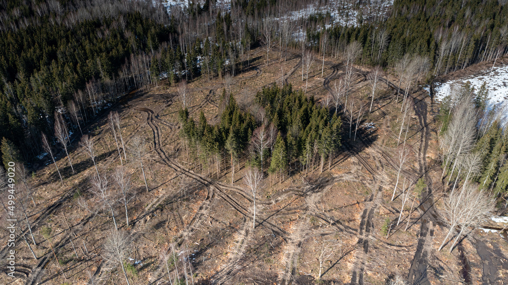 Foto de Aerial view to the woodland, badly suffered from unsustainable ...
