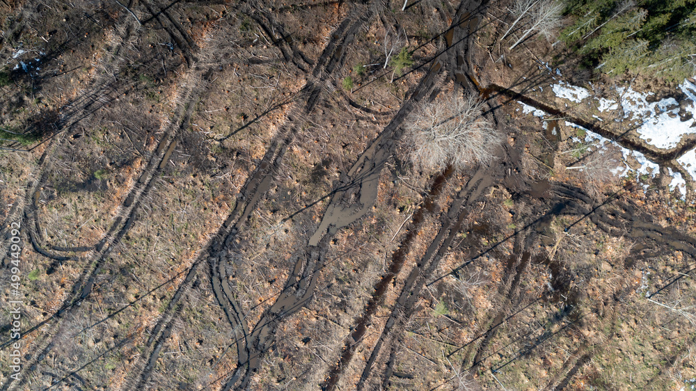 Aerial view to the woodland, badly suffered from unsustainable forest ...