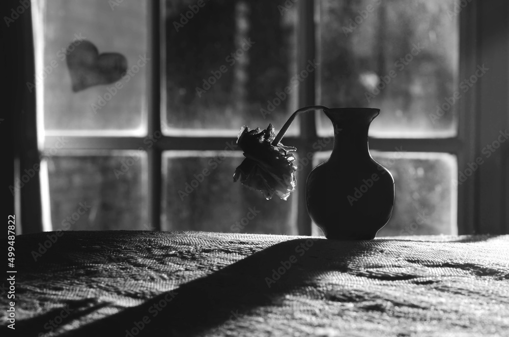 Flor marchita en un florero delante de la ventana en blanco y negro ...