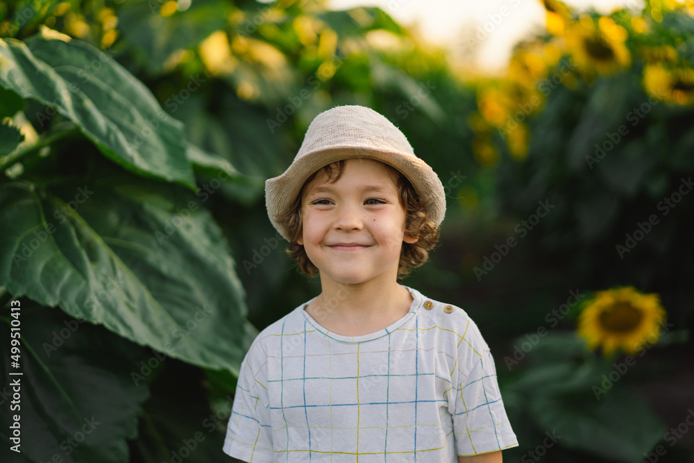 Happy little boy walking in field of sunflowers. Child playing with big ...