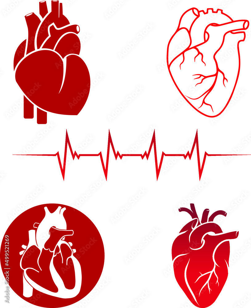Different Style Human Heart and ECG Vector Stock Vector | Adobe Stock