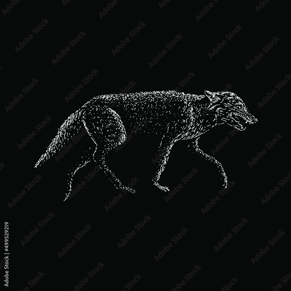 jackal hand drawing vector illustration isolated on black background ...