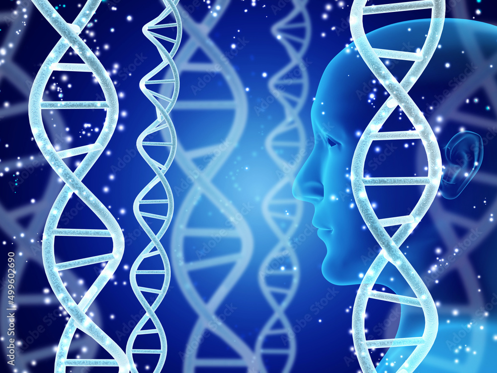 Digital models of DNA structure and human profile on abstract blue ...